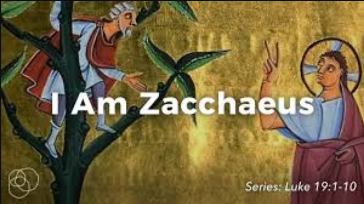 Zacchaeus, the Tree-Climber – Éditions Verbum Bible